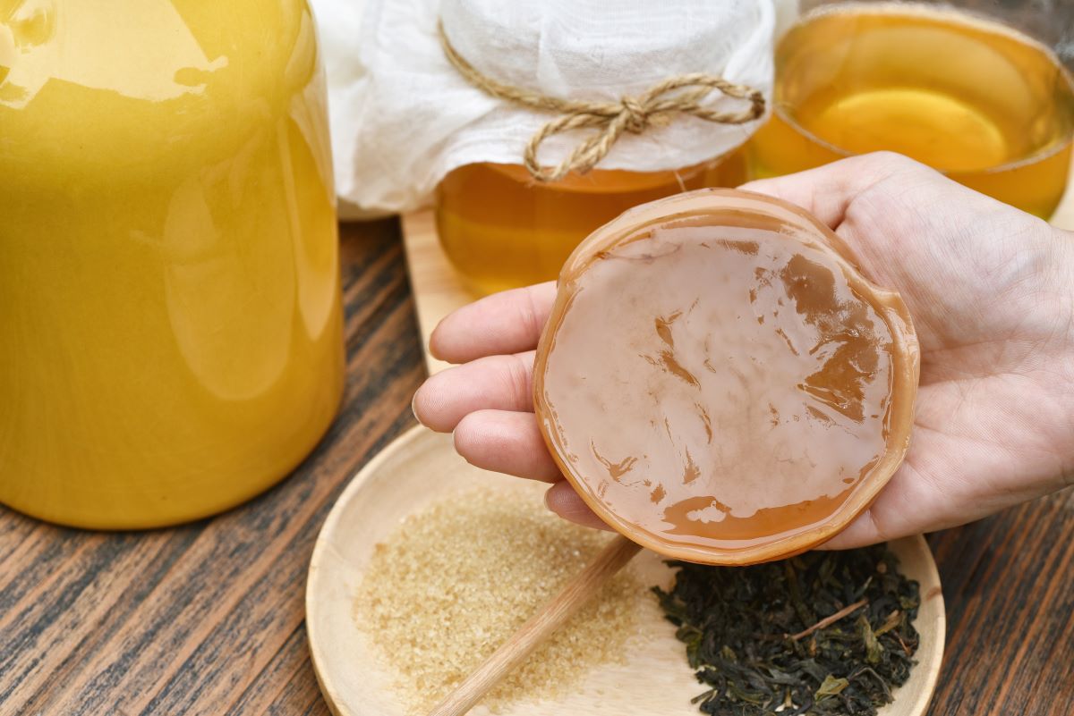 Health Benefits of Kombucha - Nutt So Ruff